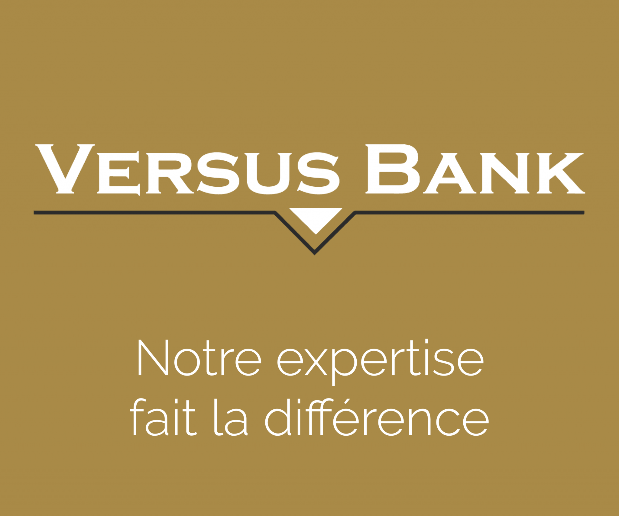 FORMULAIRE DE DEMANDE D’AGREMENT 2024 - Versus Bank